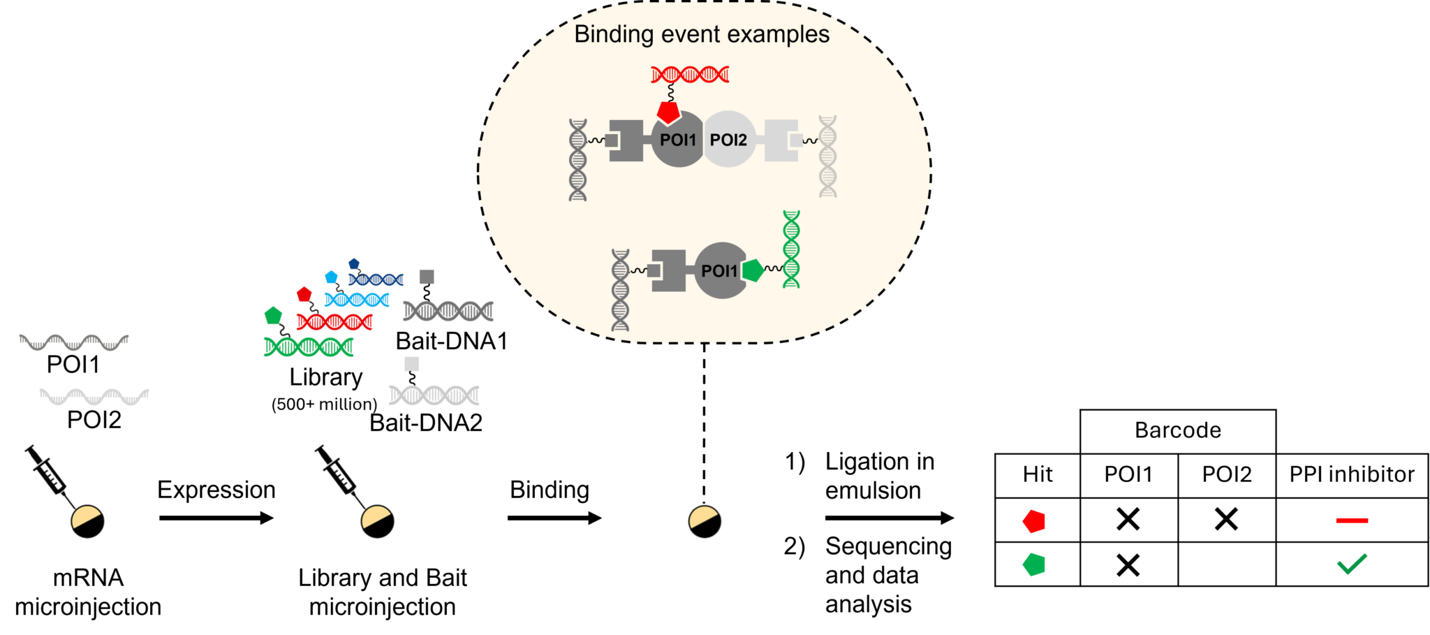 DELs in Cells - PPI inhibitor Direct