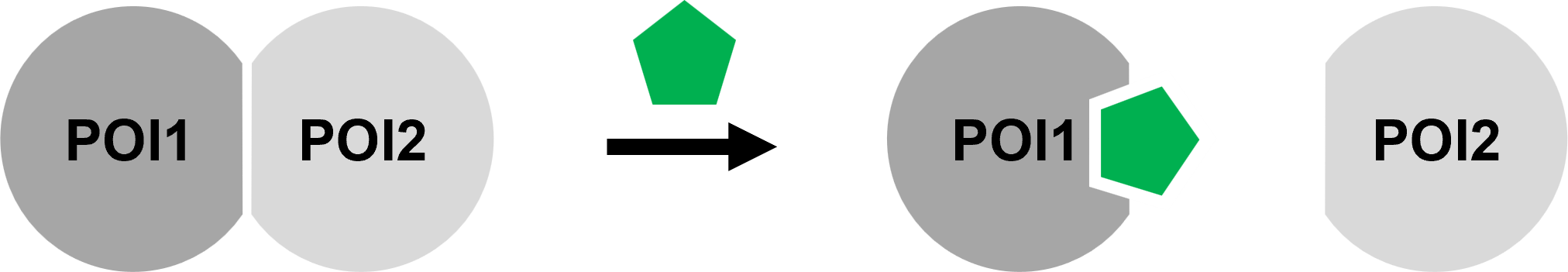 DELs in Cells - PPI inhibitor Direct